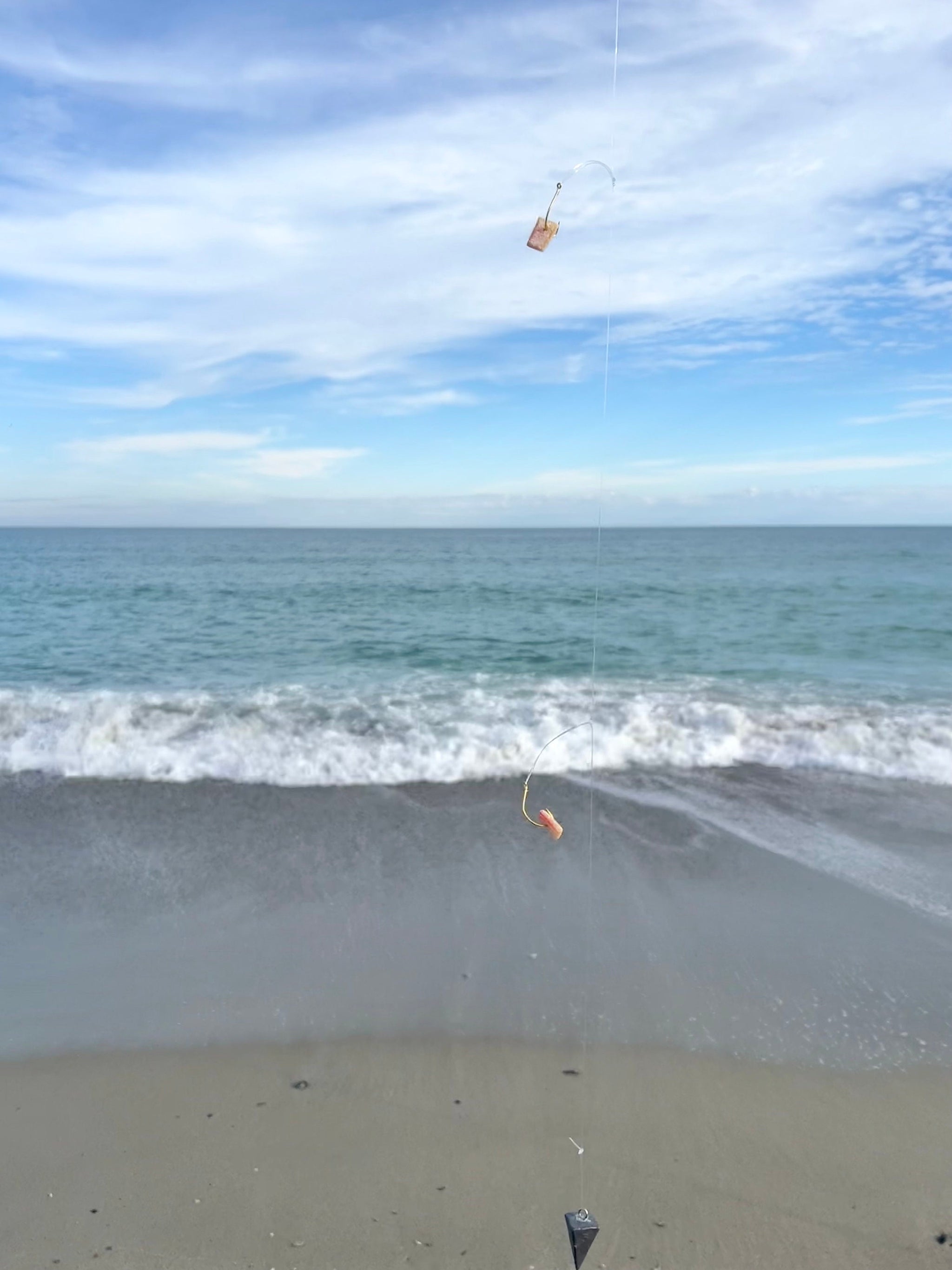 3 Pack 'Catch All' Double Drop Surf Fishing Rigs 40LB Mono – 12SouthRigs